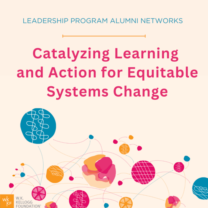Catalyzing Learning and Action for Equitable Systems Change - Network Weaver