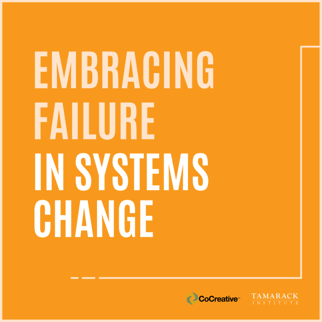 Embracing Failure in Systems Change