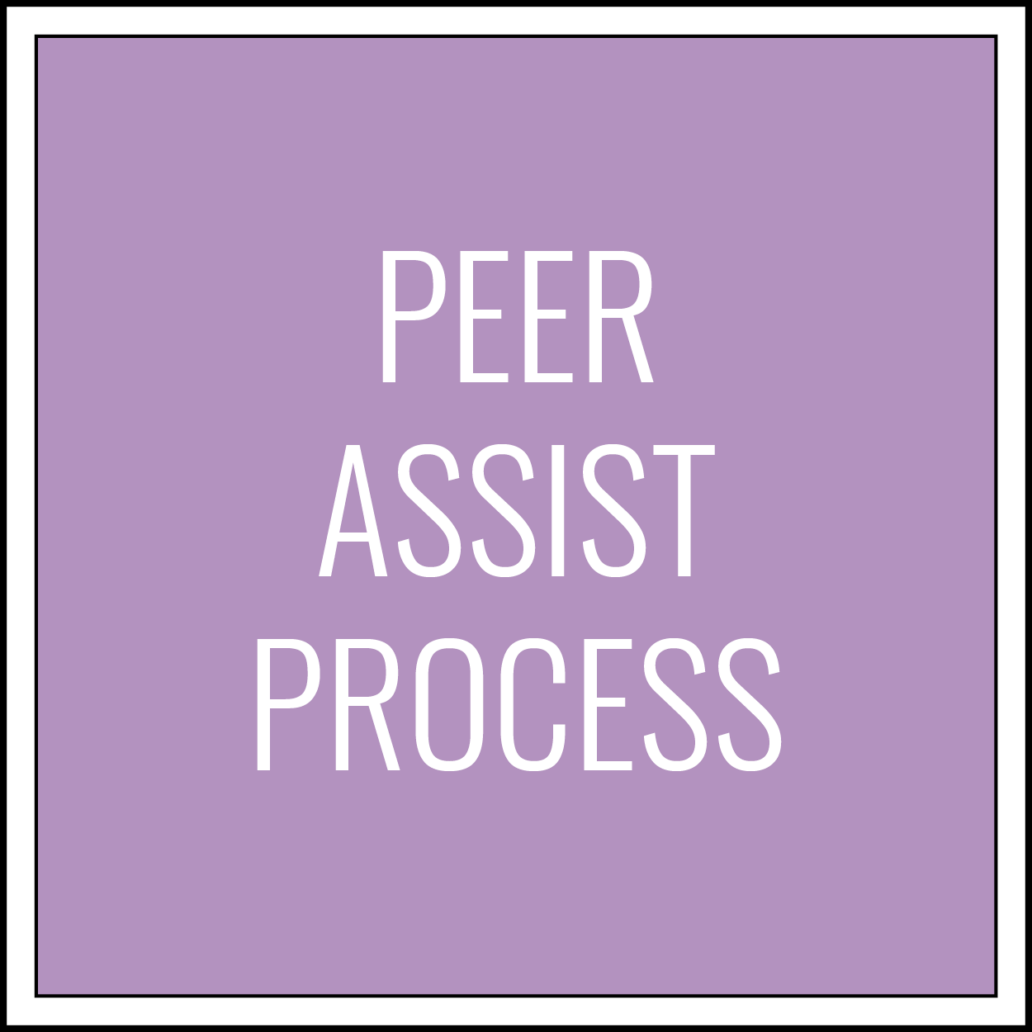 Peer Assist Process - Network Weaver